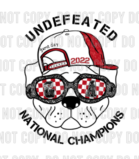 Undefeated Georgia Champions Hat Mascot Bulldog Georgia DTF Transfer ...